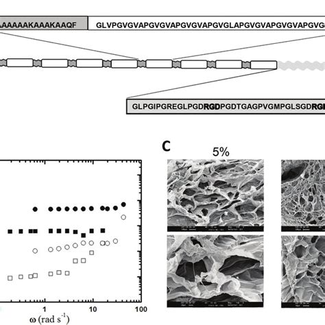 Structure And Hydrogel Characterization Of The Novel Human