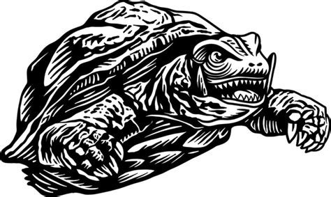 Angry Turtle Over 441 Royalty Free Licensable Stock Illustrations