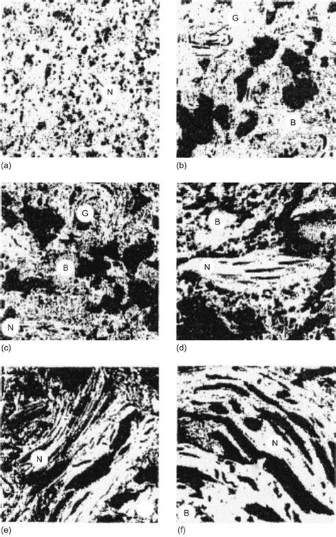 Typical Graphite Microstructures Showing N Needle Coke Particles G Download Scientific