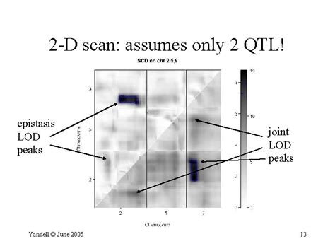 Bayesian Analysis Of Microarray Traits Arabidopsis Microarray Workshop