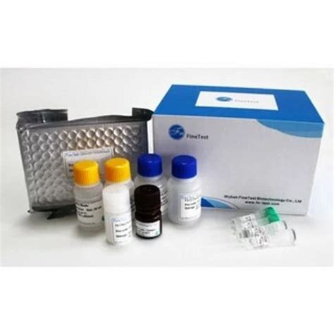 Torch Igm Elisa Kit At ₹ 4250pack Naharpur Village New Delhi Id