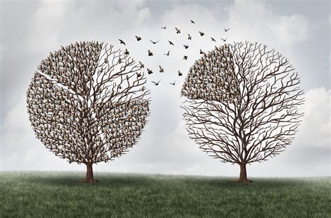 Fiscal Sponsorship Exit And Transfer Of Assets Nonprofit Law Blog