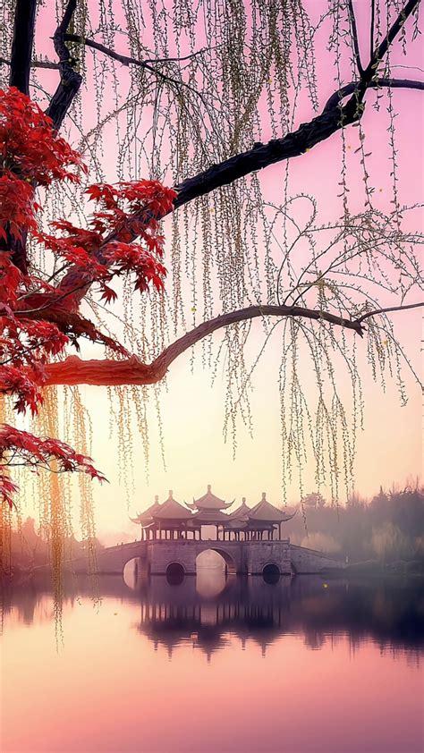 秋天的庭院 风景手机动态壁纸 风景手机壁纸下载 元气壁纸