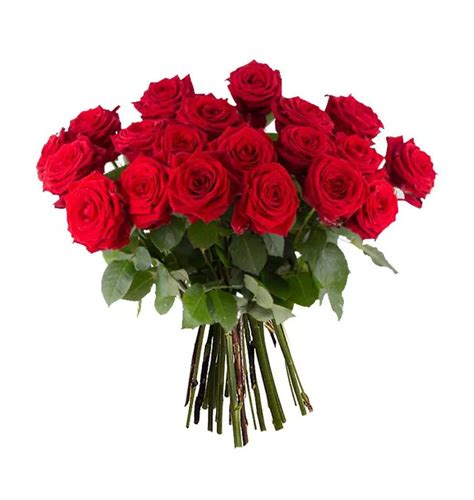 Send Ruby Radiance Exquisite Red Roses To Germany
