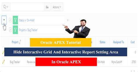 Hide Interactive Grid And Interactive Report Setting Area In Oracle Apex Javainhand Tutorial