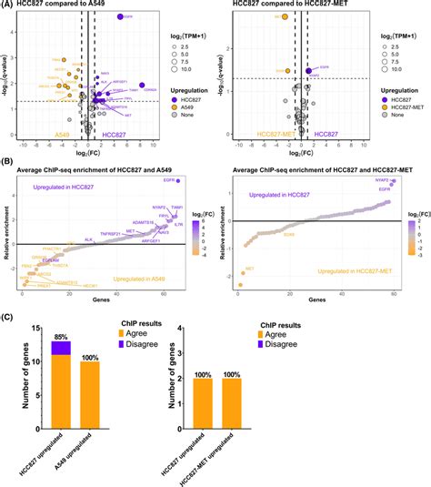 Chromatin Immunoprecipitation Sequencing Chip‐seq Can Detect Download Scientific Diagram