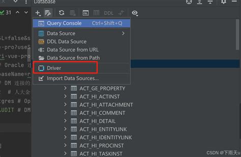 Idea连接达梦数据库 Csdn博客