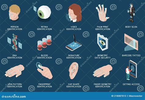 Biometric Authentication Methods Isometric Flowchart Vector Illustration