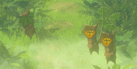 Tingles Maps Korok Forest Breath Of The Wild Zelda Universe