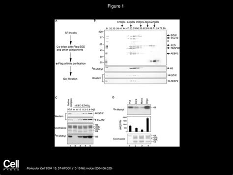 Volume 15 Issue 1 Pages July 2004 Ppt Download