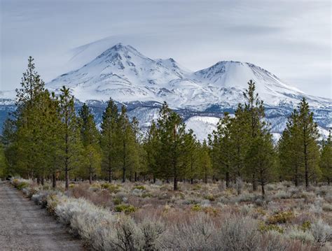Mt Shasta And Shastina Dsc 0343 Psf By Pjgardnerfotos On Deviantart