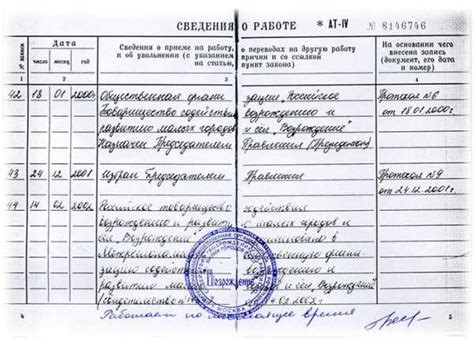 Копия трудовой книжки образец заполнения Образец как правильно заверить копию трудовой книжки