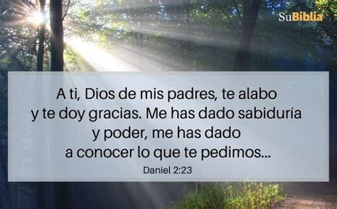 20 Oraciones De Agradecimiento Que Encontrarás En La Biblia Biblia