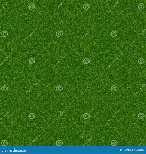 Grass Seamless Pattern Stock Illustration Illustration Of Grass 11893859