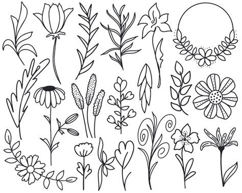 Flower Doodle Set Vector Illustration Romantic Branch Flower PNG And Vector With Transparent
