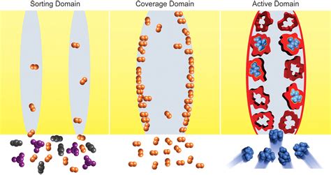 Docking In Metal Organic Frameworks Science