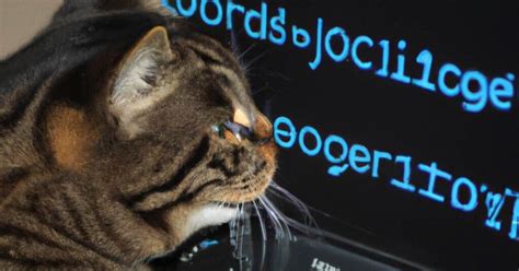 企業の研究開発文脈とデータサイエンス データサイエンティストのこれまで｜ky研究所 coderdojo横浜港北ニュータウンやってます｜note