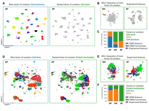 visualizations of the morphology feature space automatically discovered download scientific