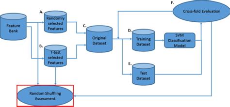 Svm Classification And Performance Assessment By Random Shuffling