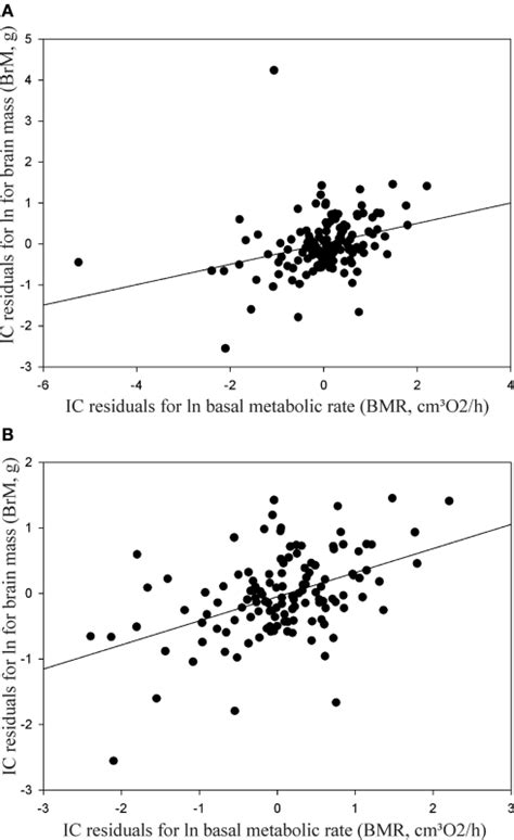 A Independent Contrast Regression Analysis Between BMR And BrM Download Scientific Diagram