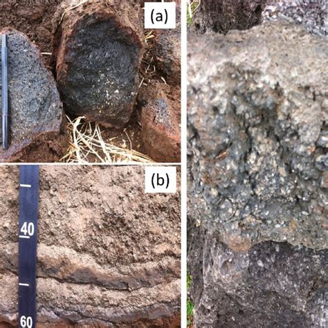 Lithology Consisted Of Pyroclastic Flow Surge Deposits And Download Scientific Diagram