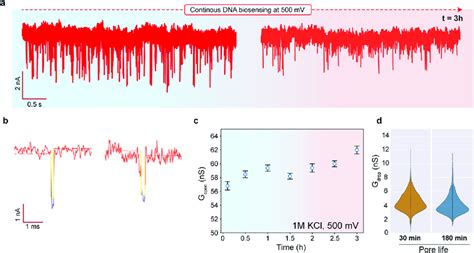 Long Term Dna Sensing Using A Monolayer Mos 2 Nanopore D 65 Nm In 1 Download Scientific