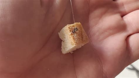 პურის სატყუარად გამოყენების მეთოდები Youtube