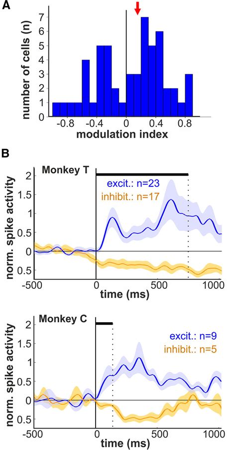 Modulation Indices And Population Responses For Excited And Inhibited Download Scientific