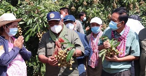 ឯកឧត្តម នាយឧត្តមសេនីយ៍កិត្តិបណ្ឌិត ហ៊ីង ប៊ុនហៀង ចុះពិនិត្យទីតាំងទិញមៀនប៉ៃលិននៅ ស្រុកសំឡូត