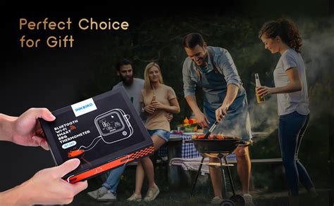 INKBIRD Wifi Bluetooth BBQ Thermometer IBT S G INKBIRD NZ