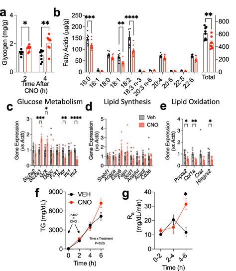 Figure 4 From Chemogenetic Engagement Of Different Gpcr Signaling