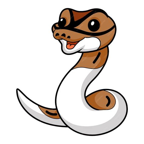 Premium Vector Cute Pied Ball Python Cartoon