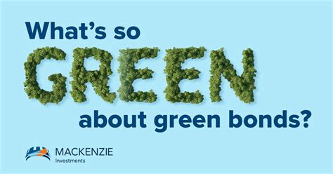 Khoi Nguyen On Linkedin Sustainability Questions And Answers