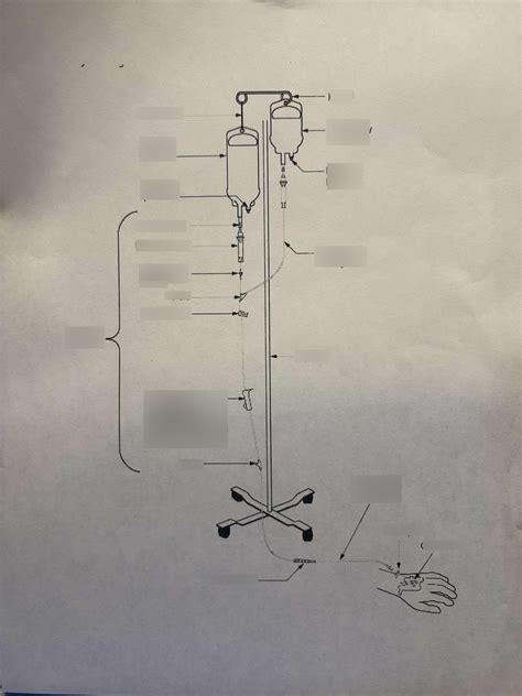 Iv Diagram Quizlet