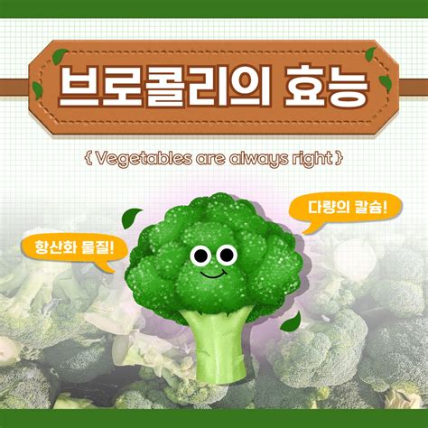 브로콜리의 효능 Tooldi
