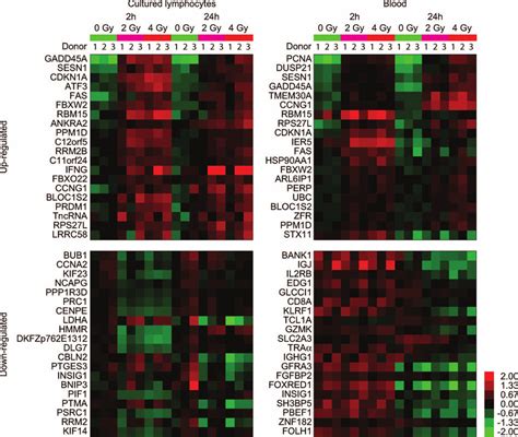 Heat Maps Of Microarray Data Including Some Of The Most Radiation