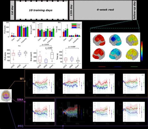 Bimanual Motor Task Performance And Functional Brain Activation For The