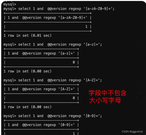 sql注入绕过（正则盲注绕过） sql注入绕过正则 csdn博客