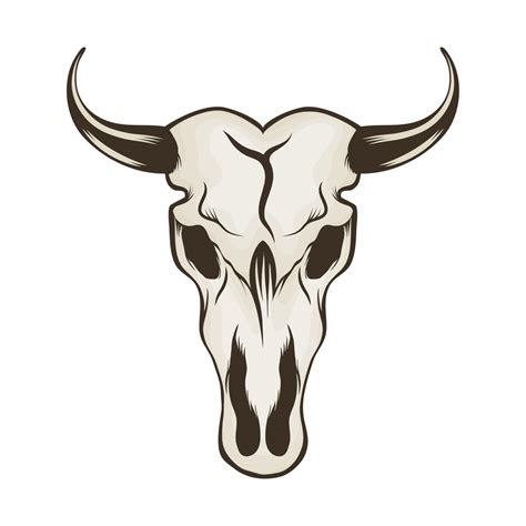 Bull Skull Head 10852332 Vector Art At Vecteezy