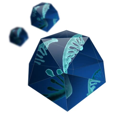 Bio Techne Order Molecular Quality Controls Assay Reagents