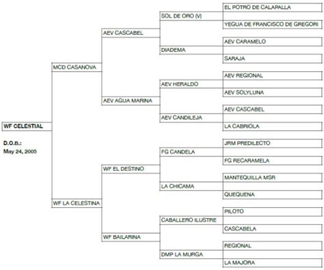 Westview Breeding WF Celestial Lineage