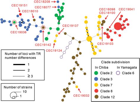 Tandem Repeats Plos One