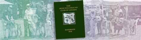 Iwcc Handbook Iwcc • Ccli