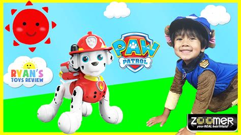 Paw Patrol Zoomer Marshall Interactive Pup Youtube