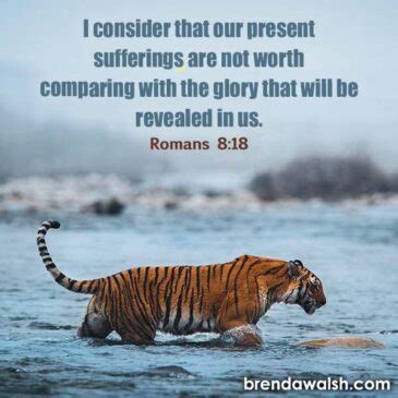 Glory Over Suffering Brenda Walsh Scripture Images
