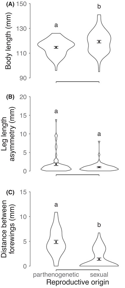 Sexually But Not Parthenogenetically Produced Females Benefit From Mating In A Stick Insect