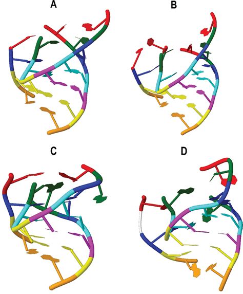 Tertiary Interactions Identified In Putative Structures A Trna Trp