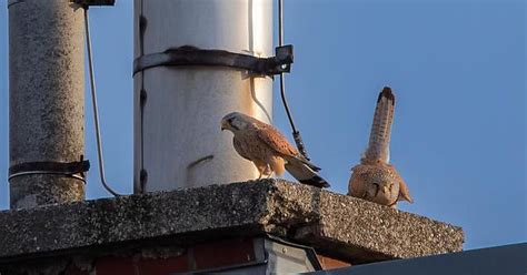 Beginners Mistake Album On Imgur