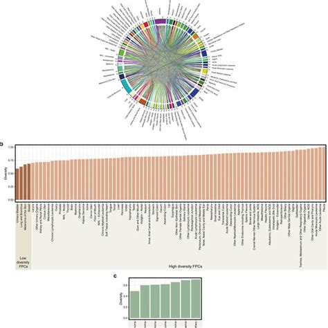 Risk Of Developing Spc In Different Types Of Fpc Patients A Bar Graph