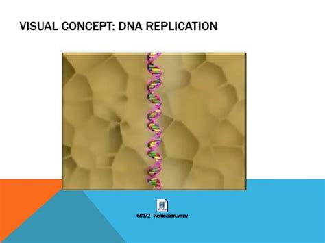 Dna Replication Ppt